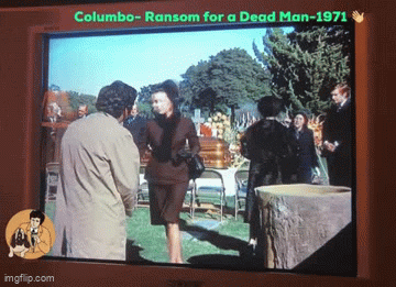 This is what you wanted, isn’t it? Columbo - Imgflip