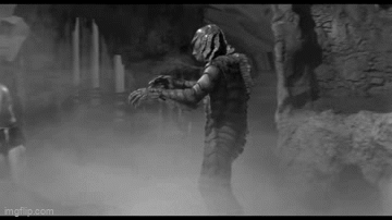 Animated GIF - Imgflip