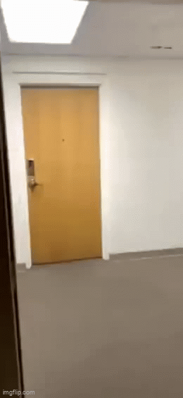 Animated GIF - Imgflip