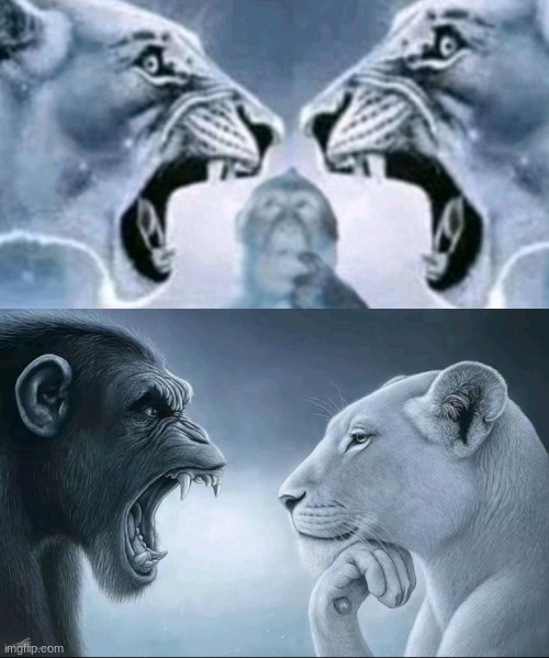 new reaction images - Imgflip