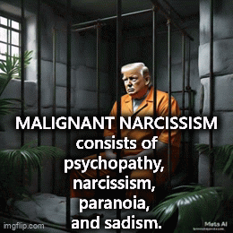 Image tagged in gifs,malignant narcissism,psychopath,narcissism ...