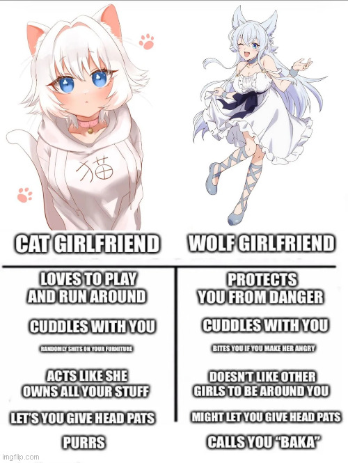 Who would win? - Imgflip