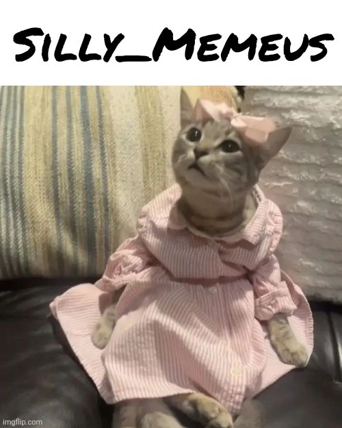 Silly_Memeus - Imgflip