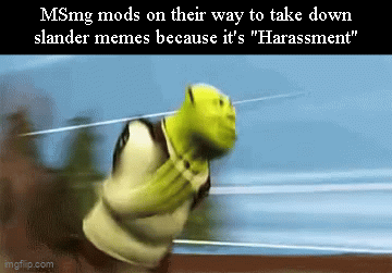 Oh no, this is a slander meme. Better take it down before it offends ...