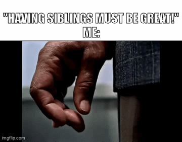 Some people think siblings would be great - Imgflip