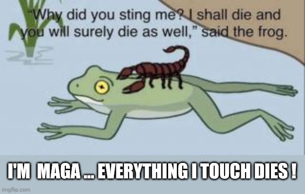 frog and scorpion - Imgflip