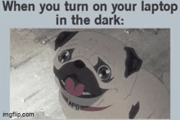 When you turn on your laptop in the dark - Imgflip