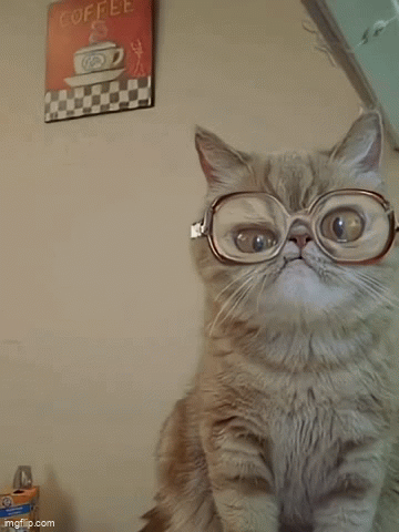 Beware, brain overload gif - Imgflip