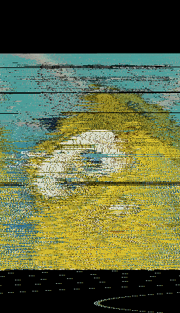 Animated GIF - Imgflip