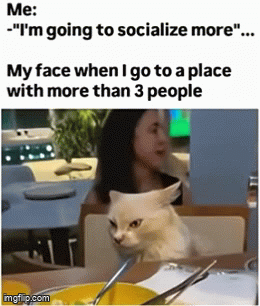 bruh I lie to myself too much - Imgflip