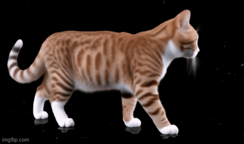 Cat Walk - Imgflip