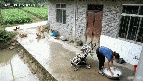 Rover To The Rescue - Imgflip