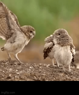 When you go outside but there are other beings there - Imgflip