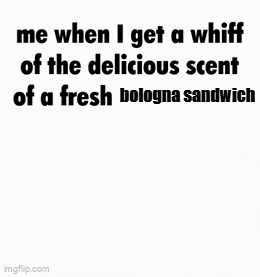 bologna sandwich - Imgflip