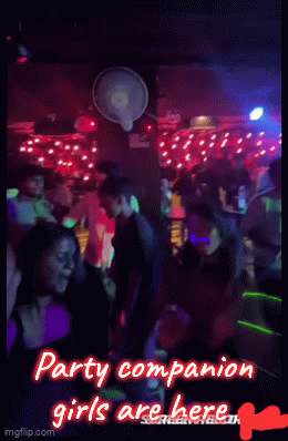 Party companions here - Imgflip