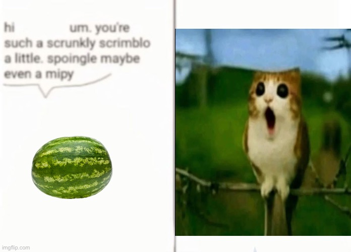 hi X um. youre such a scrunkly scrimblo - Imgflip