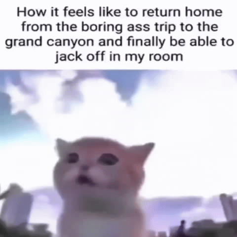 Animated GIF - Imgflip