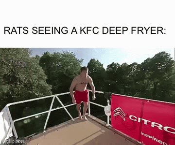 Death dive - Imgflip