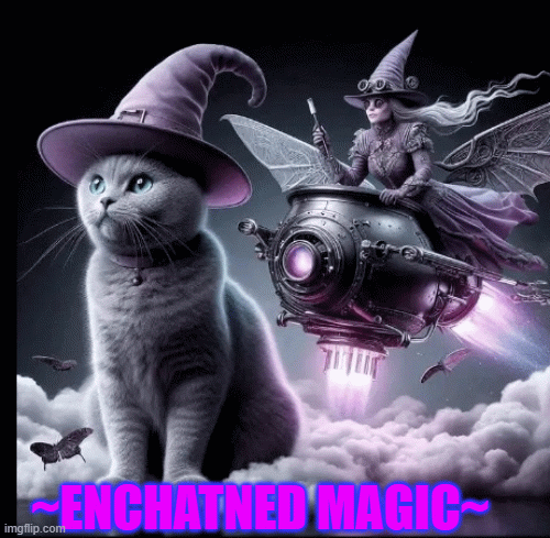 Enchanted's magic collection - Imgflip