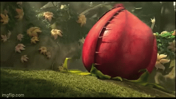 I dare somebody to make a meme out of this - Imgflip