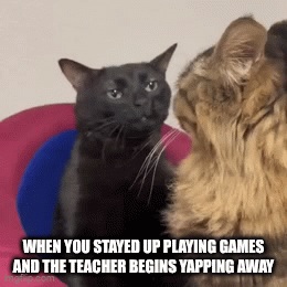 I can't stand it when this happens - Imgflip