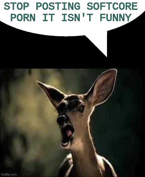 please stop vro - Imgflip