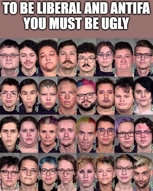 Libtard equals Ugly - Imgflip