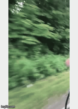 Giving A Cyclist A 'Helpful' Push - Imgflip