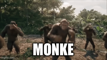 Dancing monkeys - Imgflip