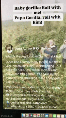 When push comes to shove... get the hell out of there! - Imgflip