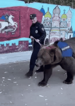 Never Argue With A Russian Police Bear ! - Imgflip