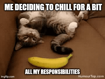 Responsibilities got no chill... - Imgflip