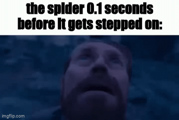 Like actually why do you kill spiders they're chill - Imgflip