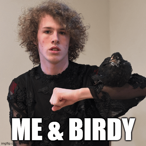 Liam Keel Black Pullet Chicken (October 15th, 2025) - Imgflip