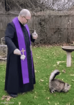 The Exorcism Of A Possessed Cat ! - Imgflip