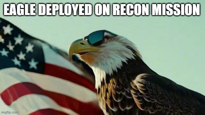 Eagle Recon - Imgflip