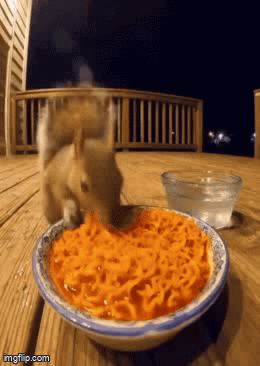 Squirrels Can't Handle Spicy Food - Imgflip