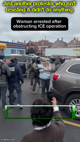 Since she says she's NOT RESISTING, can we believe she didn't do ...