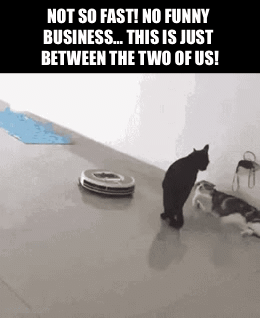 Foiled again! - Imgflip