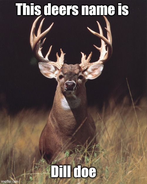 buck deer - Imgflip