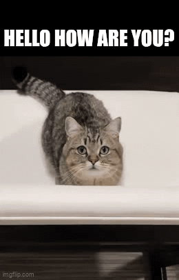 Hello - Imgflip