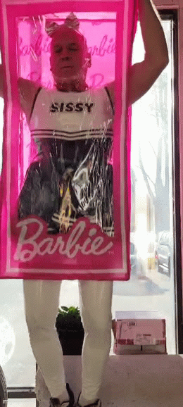 barbie box sissy - Imgflip