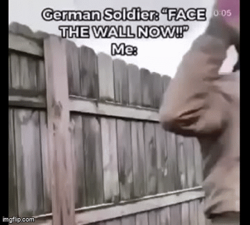Animated GIF - Imgflip