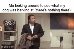if there is nothing there, STOP BARKING - Imgflip