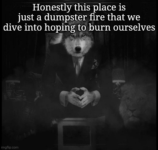 Wolf on a chair - Imgflip