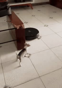 Off On A Magic Roomba Ride ! - Imgflip