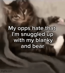 Animated GIF - Imgflip