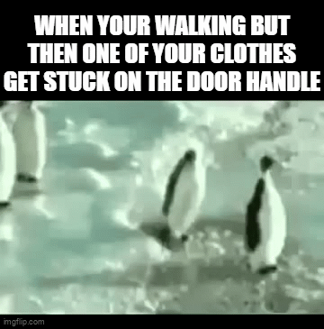 Even The Round Door Handles Clothes Can Get Stuck - Imgflip