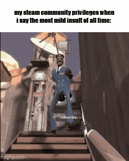 bans are fr insane - Imgflip