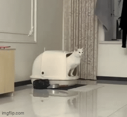 Image tagged in gifs,cats - Imgflip